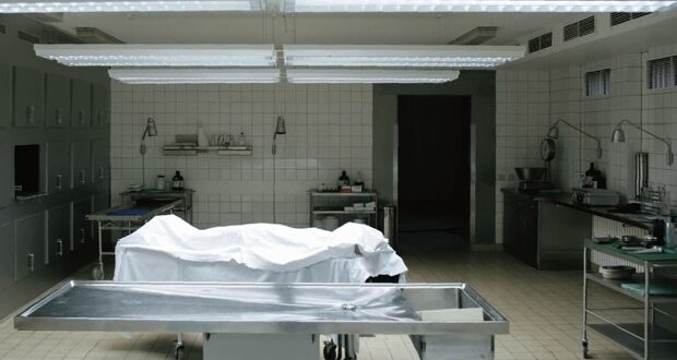 Como é feita a necropsia – Todas Funerárias News