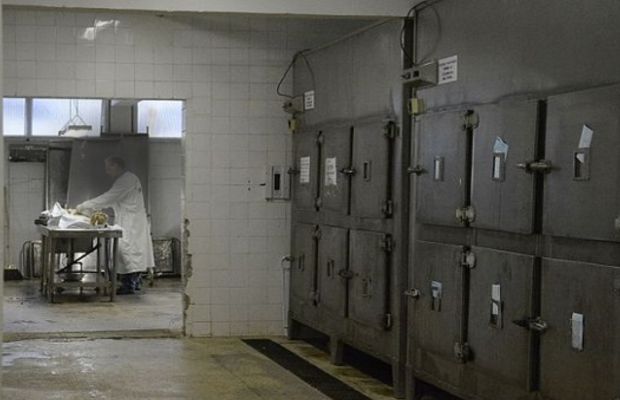 Conheça a historia das preparações de cadáveres e os riscos do uso do ...