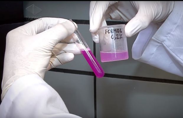 Conheça a historia das preparações de cadáveres e os riscos do uso do ...